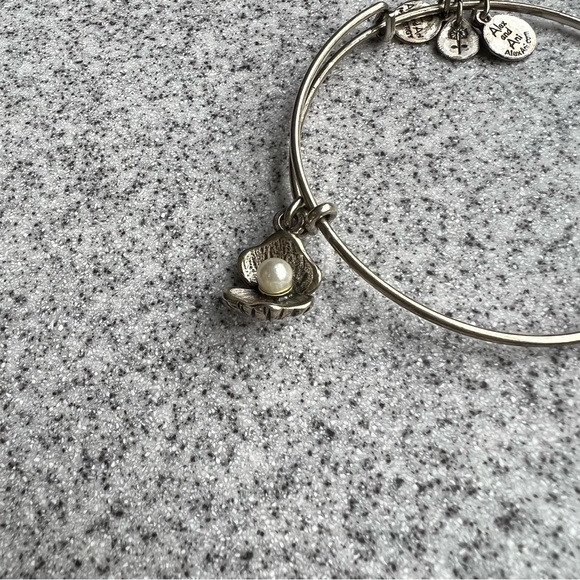 Alex and Ani | Jewelry | Alex And Ani Rafaelian Silver Oyster And Pearl Charm Bangle Bracelet ...
